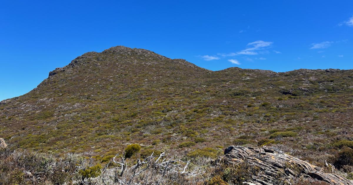 Wylds Craig and Mount Shakespeare